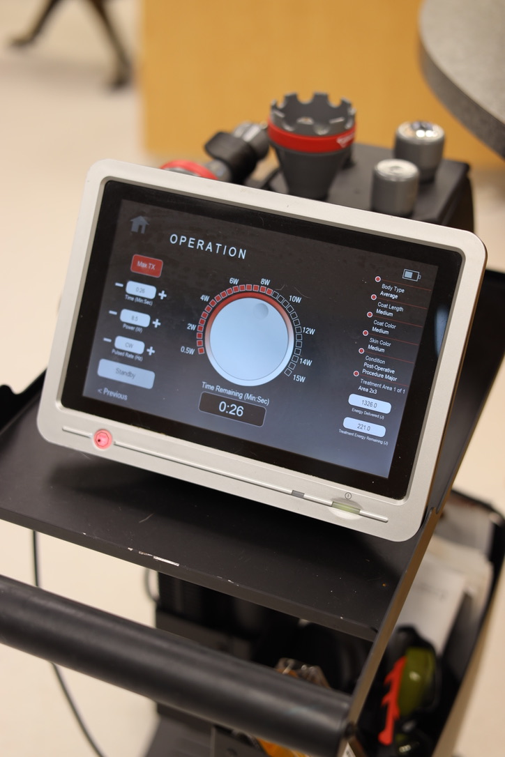 Regenerative Laser Therapy | Allegheny Veterinary Services